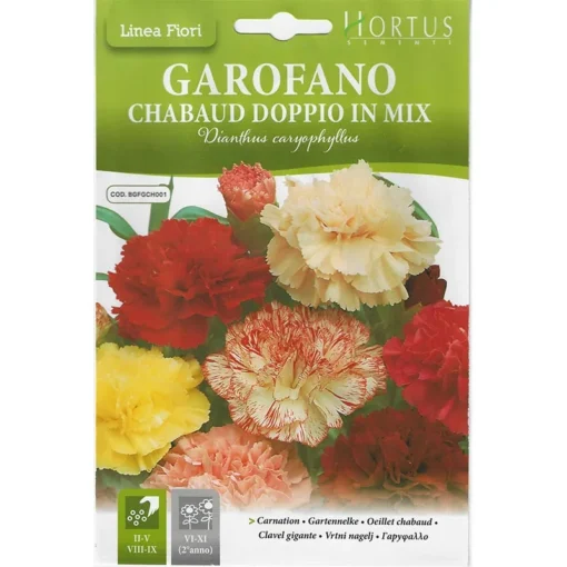 Hortus Carnation Seeds – Garofano Chabaud Doppio in Mix